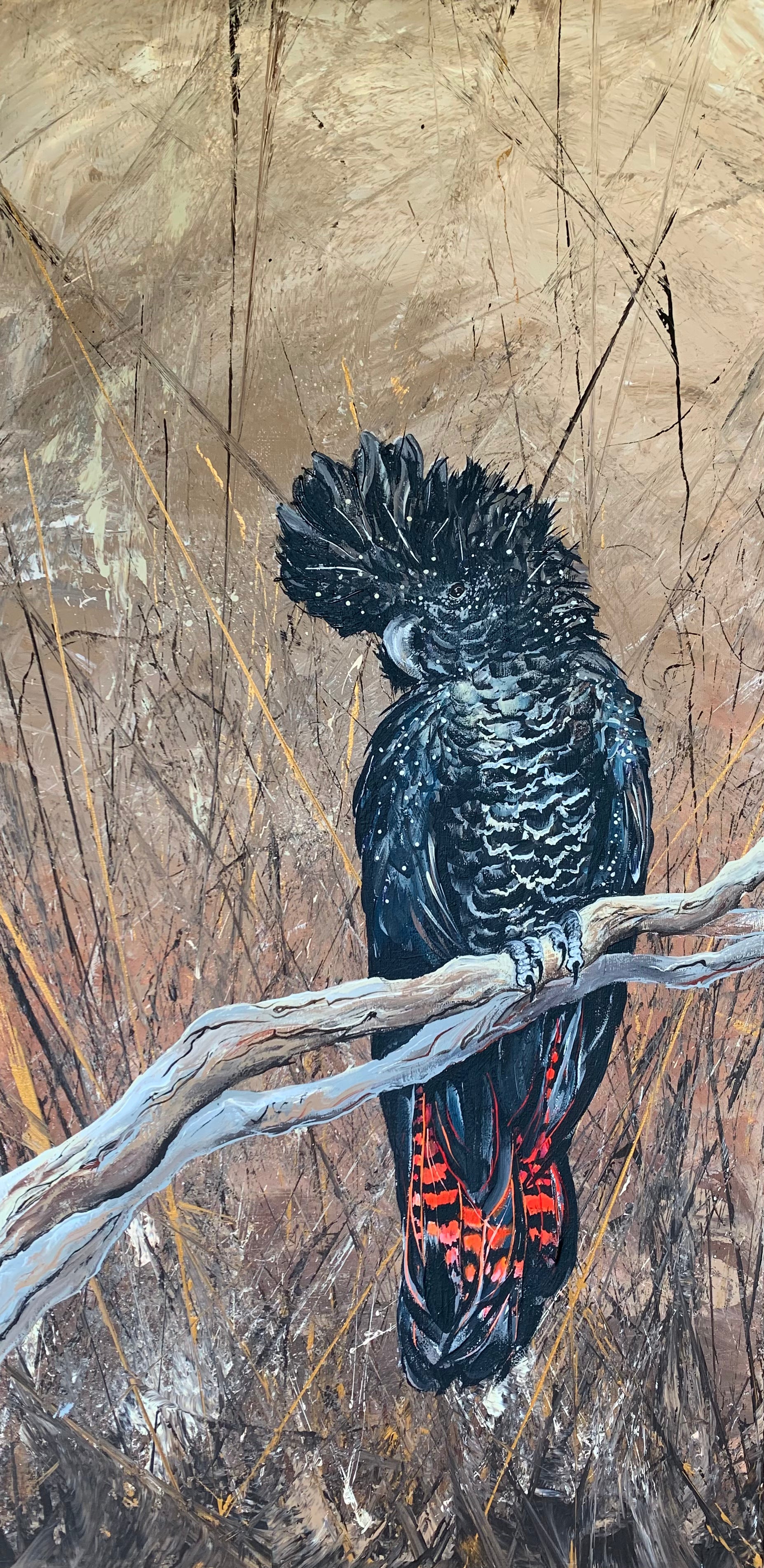 *SOLD* Female Red-Tailed Black Cockatoo with Earth Background, acrylic ...